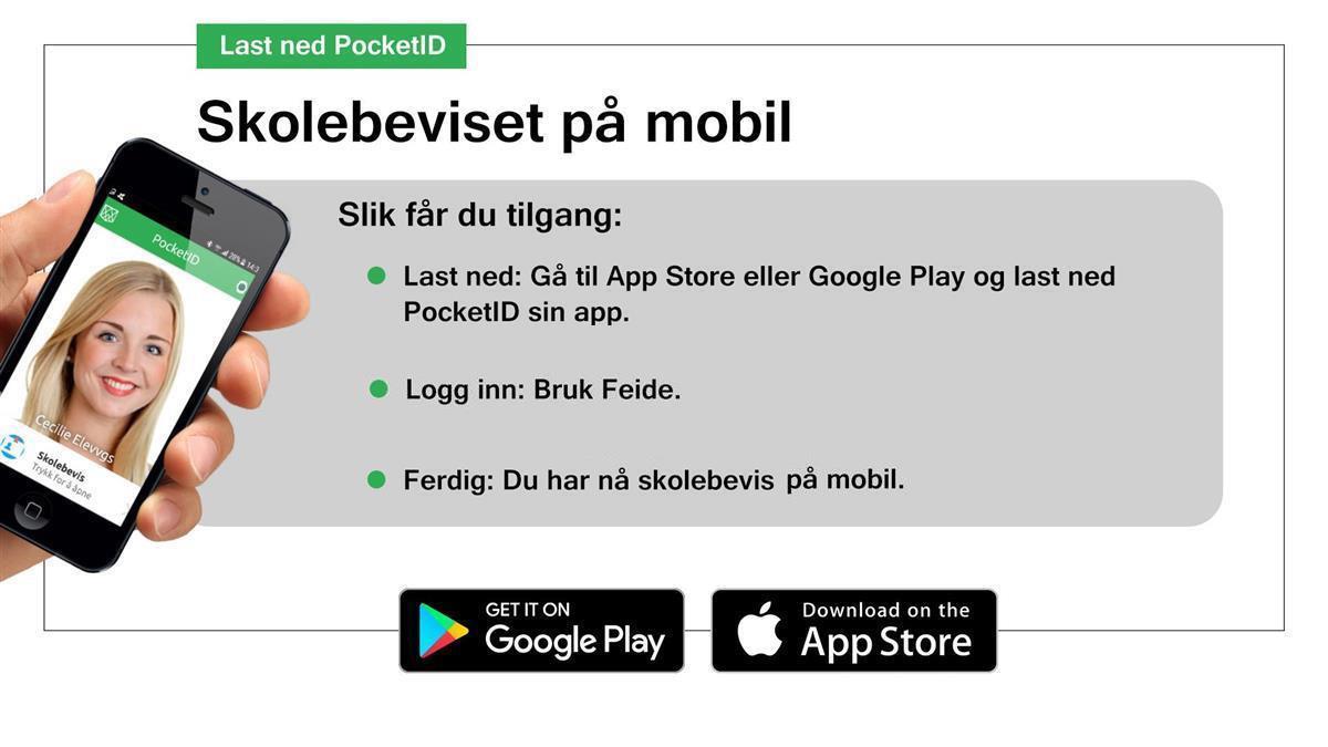 Skolebevis - Haugaland videregående skole